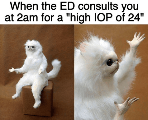 Top 20 Memes for Eyecare Professionals