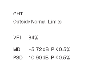 An Optometrist’s Refresher on Visual Field Indices