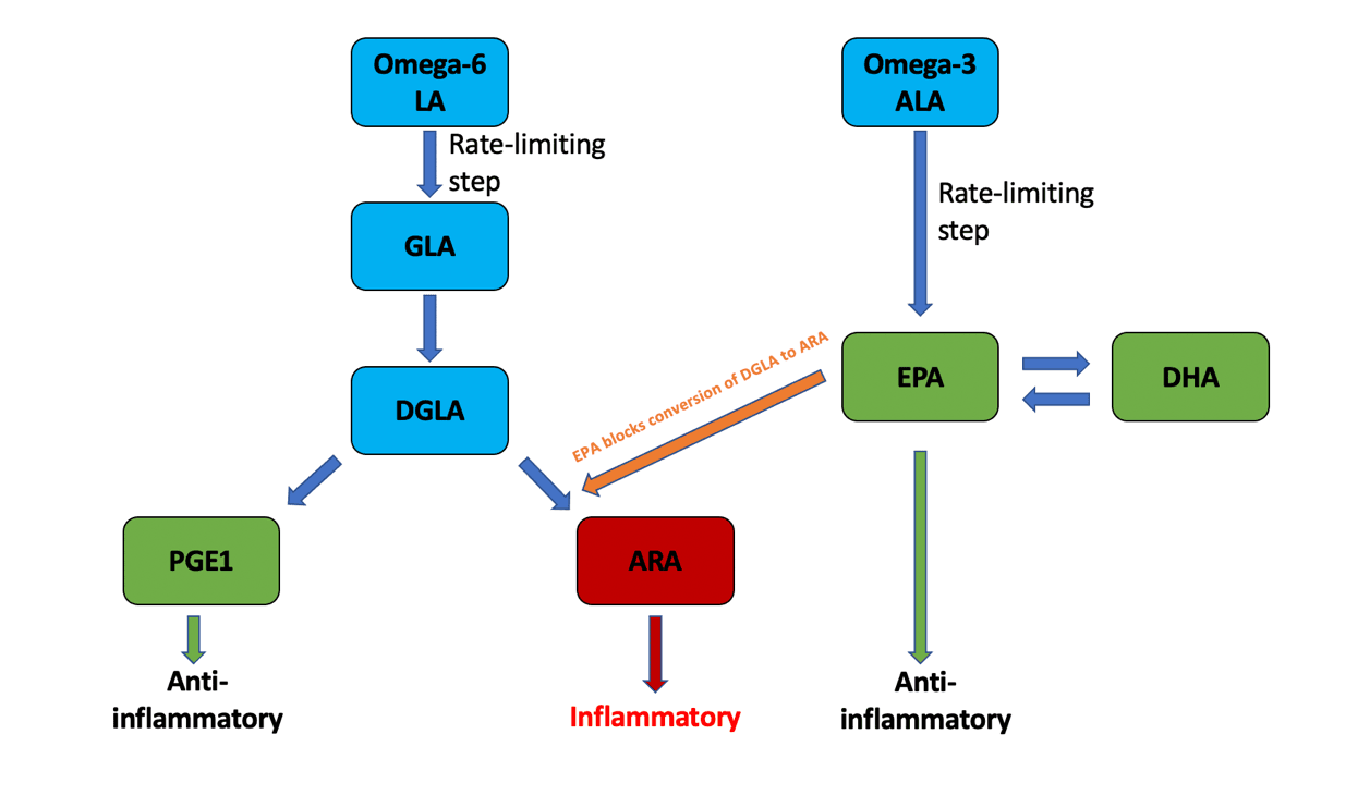 The Role of Omegas in Dry Eye Disease and Management