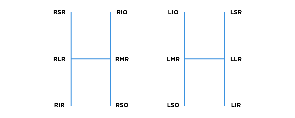 Testing And Management Of Skew Deviation
